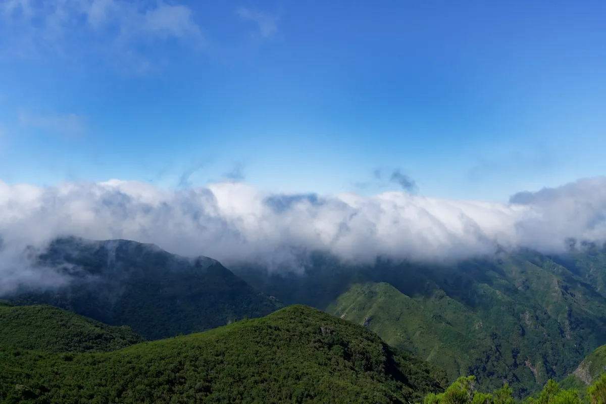 Best Viewpoints in Madeira: 10 Miradouros You Cannot Miss | Adrenaline ...